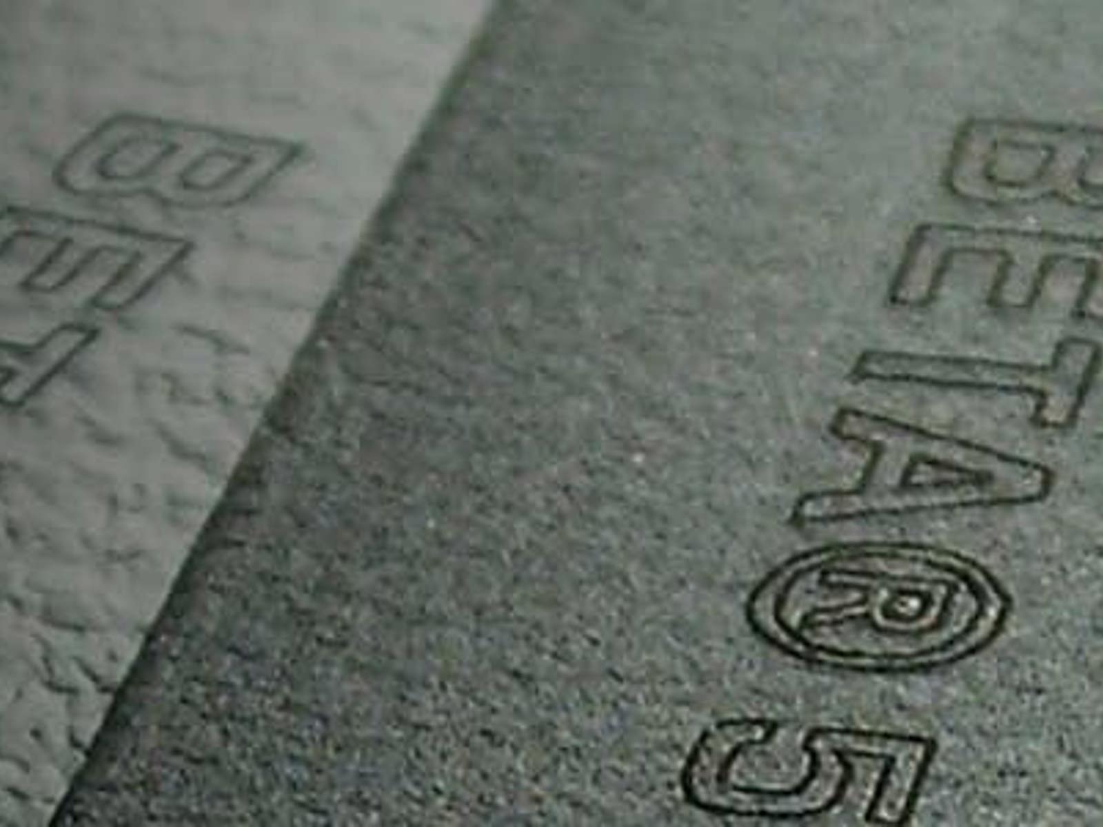 High Quality Coated Webbing & Assemblies | BioThane®